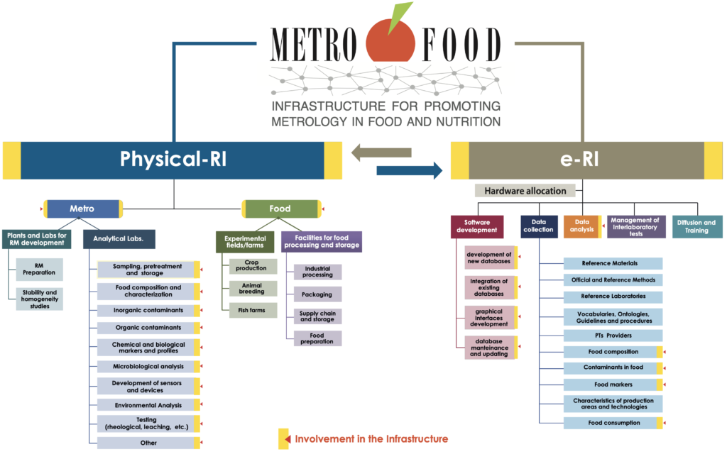 Infrastructure – MetroFood